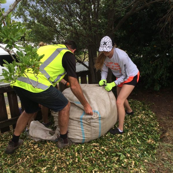 Neighbourhood Projects – Good Neighbour